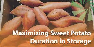 Professional Business and Farming Plan writing services now