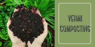 Vermicomposting Farming